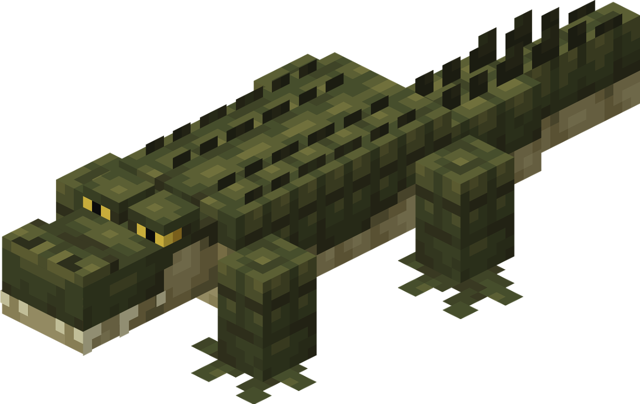 Alligator | Starfish Studios