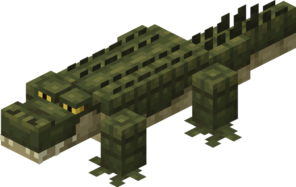 Alligator | Starfish Studios