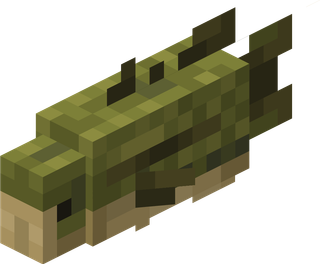 Bass | Starfish Studios