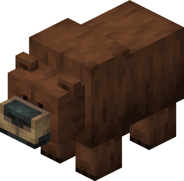 Bear | Starfish Studios