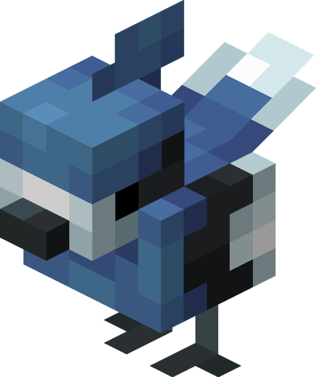 Bird | Starfish Studios