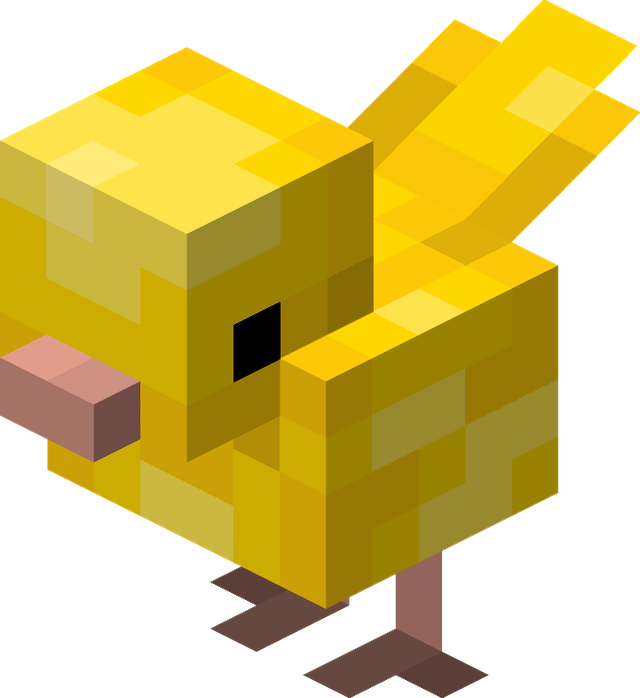 Bird | Starfish Studios