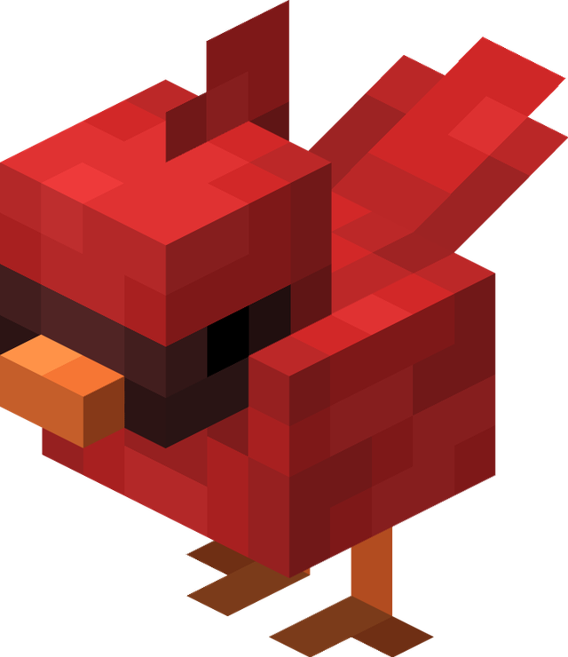 Bird | Starfish Studios