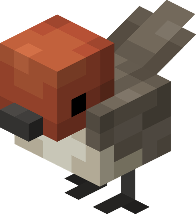 Bird | Starfish Studios