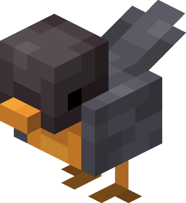 Bird | Starfish Studios