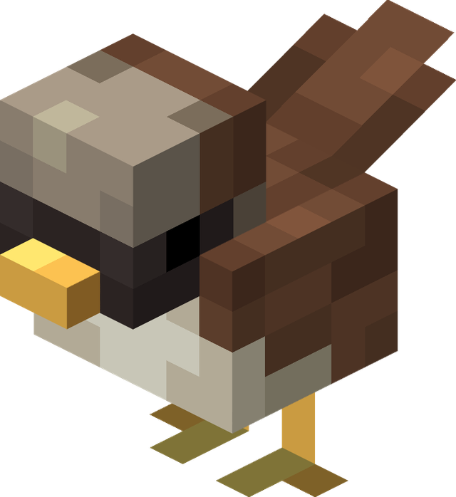 Bird | Starfish Studios