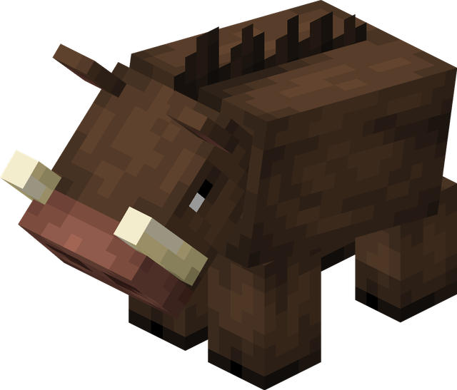 Boar | Starfish Studios