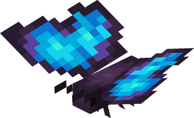 Butterfly | Starfish Studios