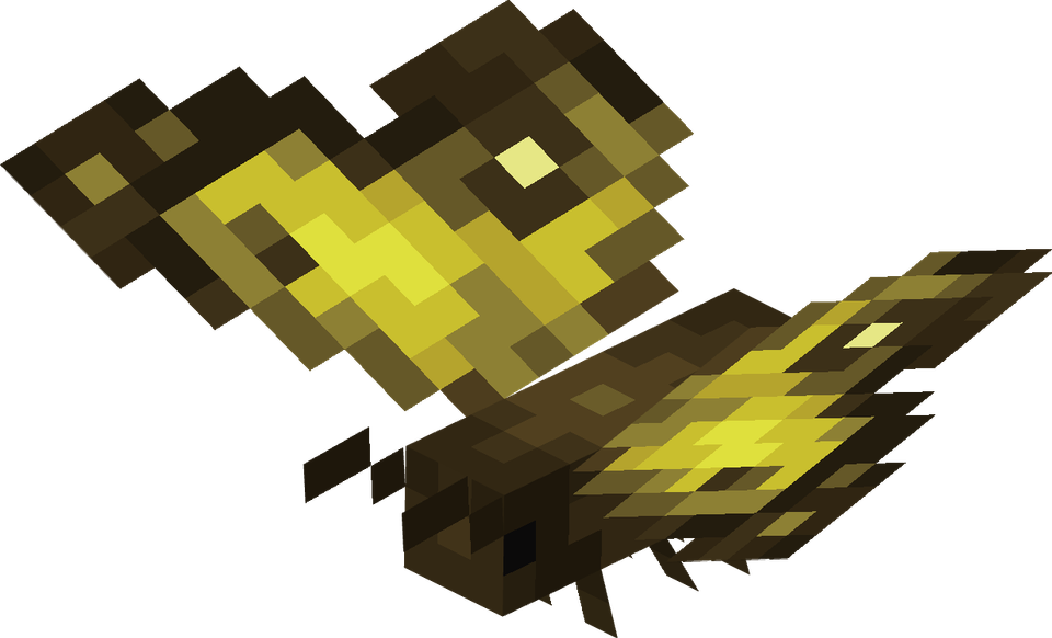 Butterfly | Starfish Studios