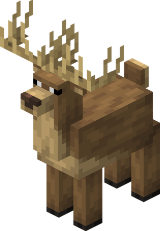 Deer | Starfish Studios