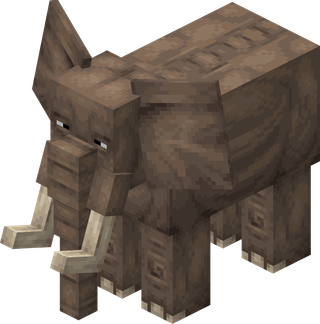 Elephant | Starfish Studios