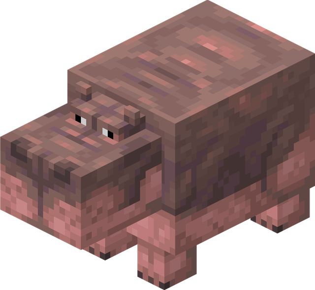 Hippo | Starfish Studios