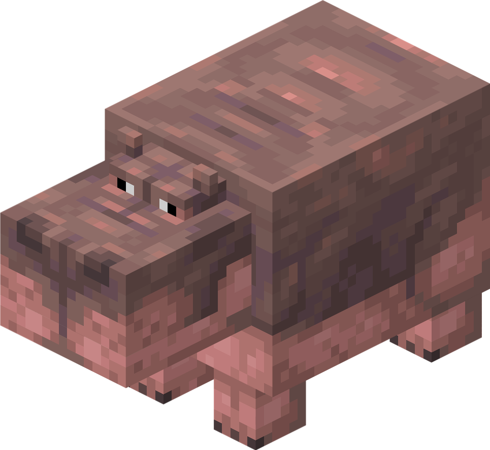 Hippo | Starfish Studios