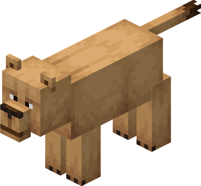 Lion | Starfish Studios