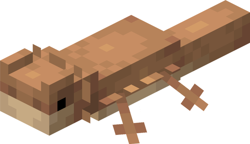 Lizard | Starfish Studios