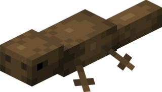 Lizard | Starfish Studios