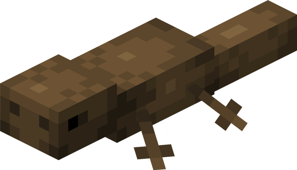 Lizard | Starfish Studios