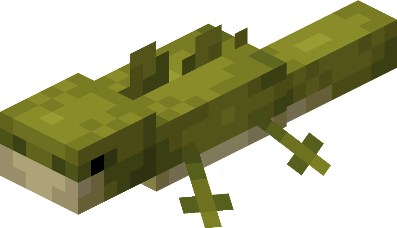 Lizard | Starfish Studios