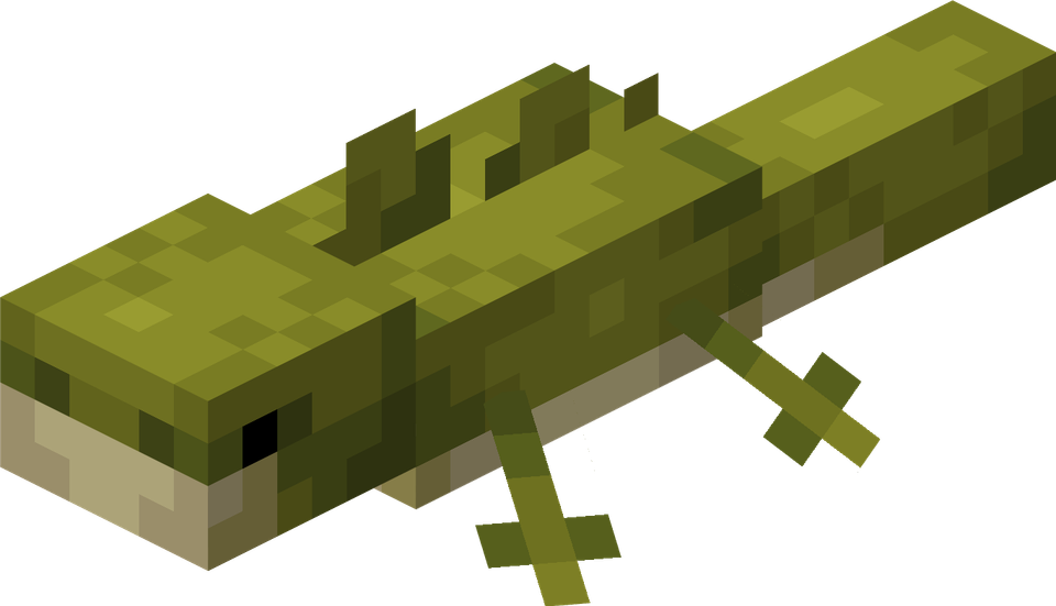 Lizard | Starfish Studios