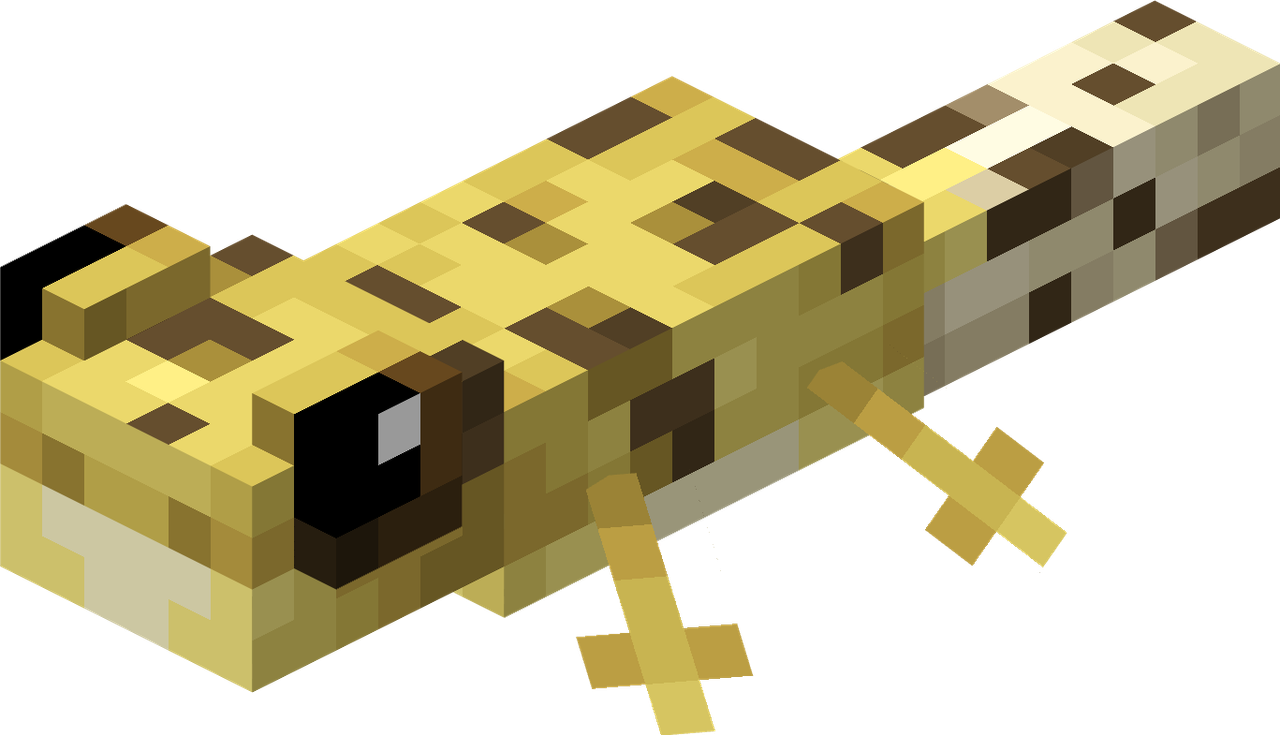 Lizard | Starfish Studios