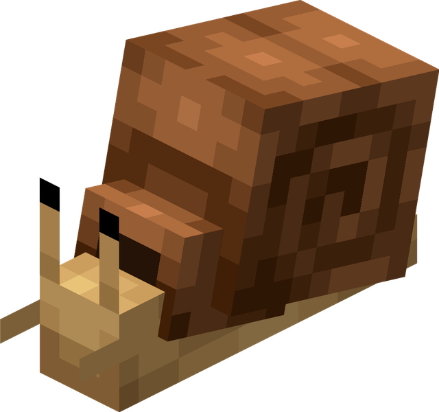 Snail | Starfish Studios