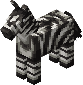 Zebra | Starfish Studios