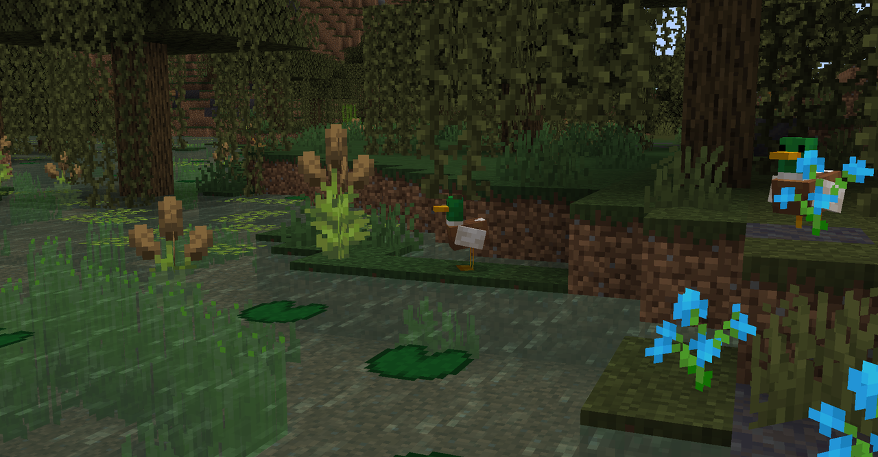 Naturalist Wiki | Starfish Studios