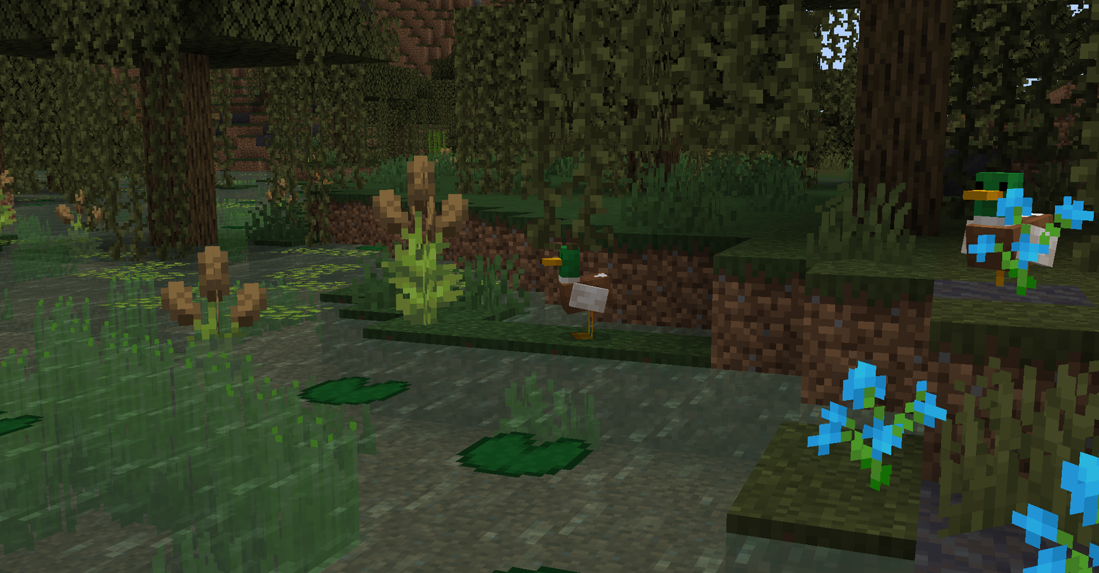 Naturalist Wiki | Starfish Studios