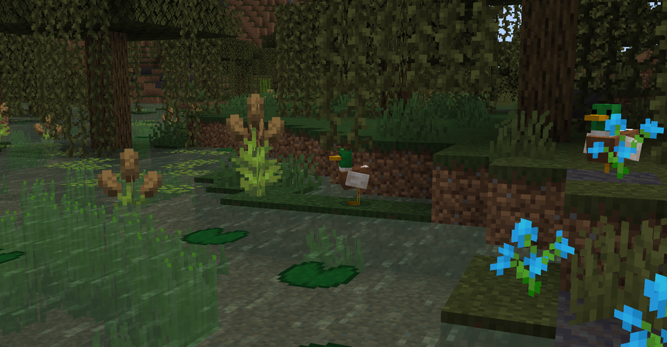 Naturalist Wiki | Starfish Studios