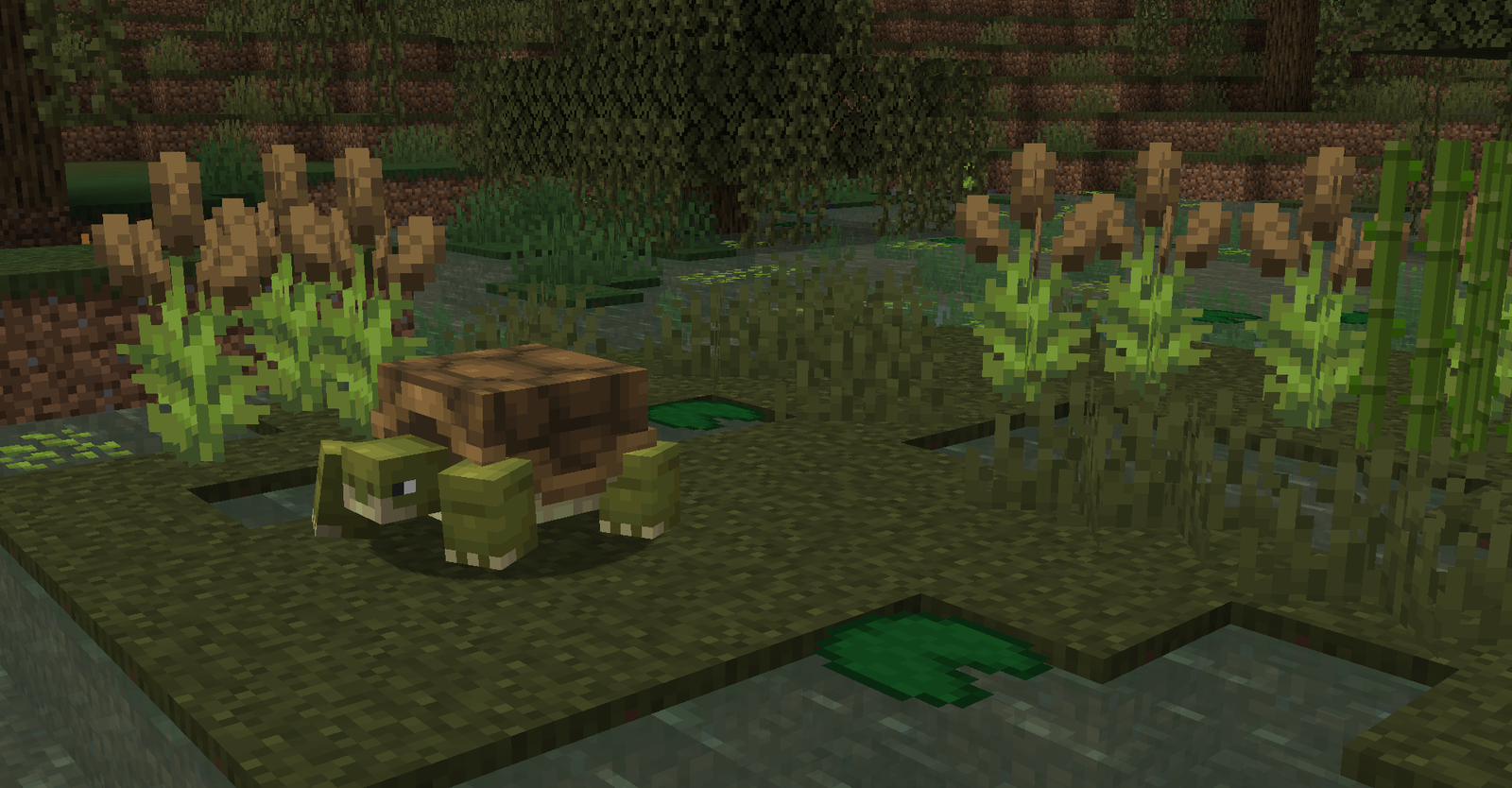 Naturalist Wiki | Starfish Studios